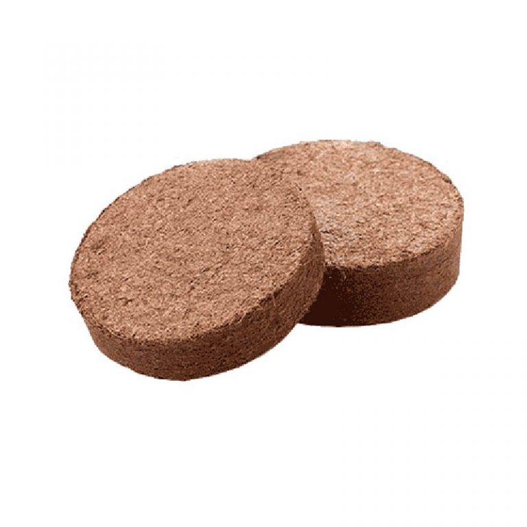 Coco Discs – Biocell Pvt Ltd